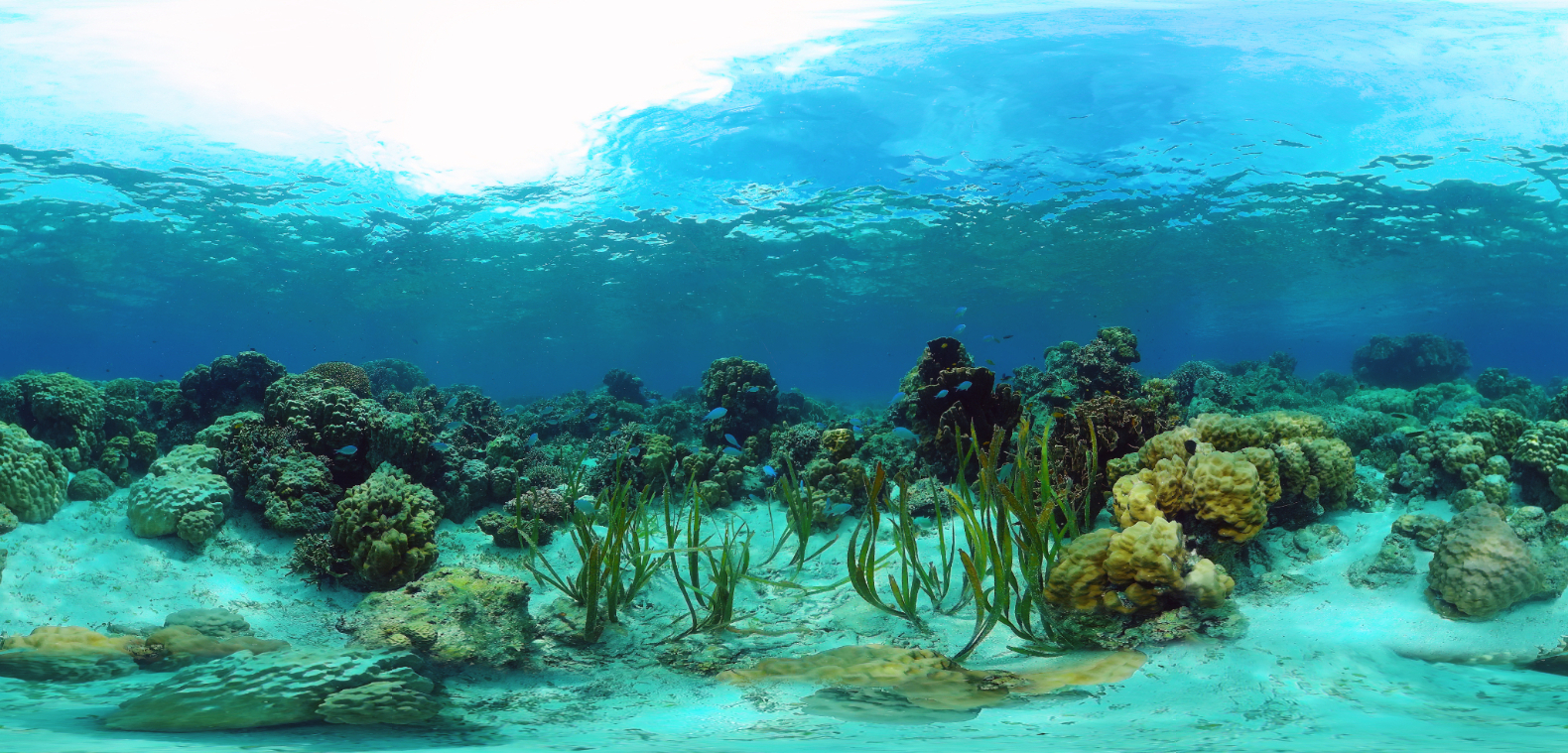 Teaching with 360-Degree Video – The Teaching Professor