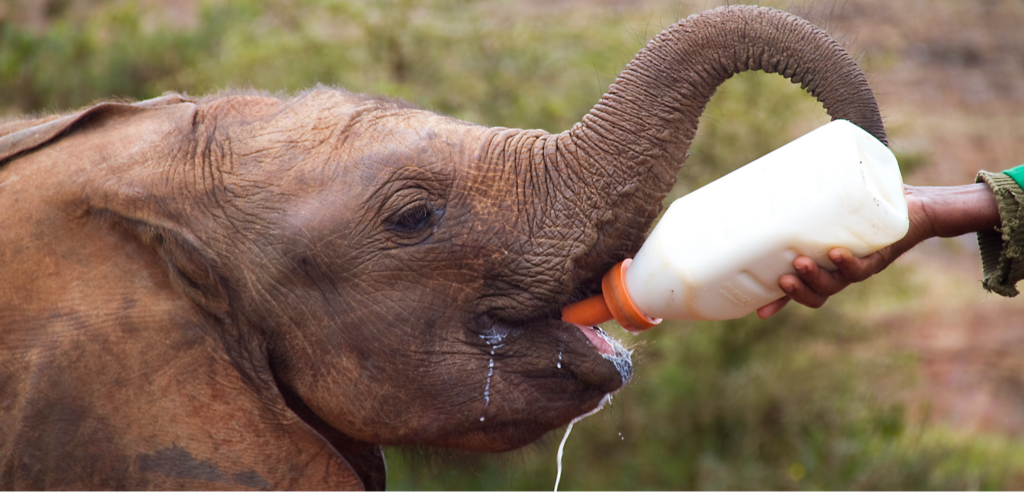 The Teaching Professor | Higher Ed Teaching & Learning