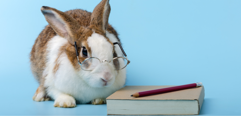 Improve Student Research with Research Rabbit – The Teaching Professor